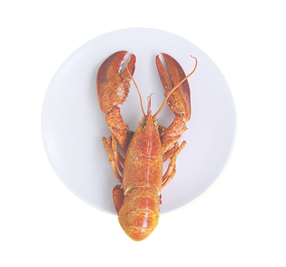 Vrish - Indian Cuisine Restaurant